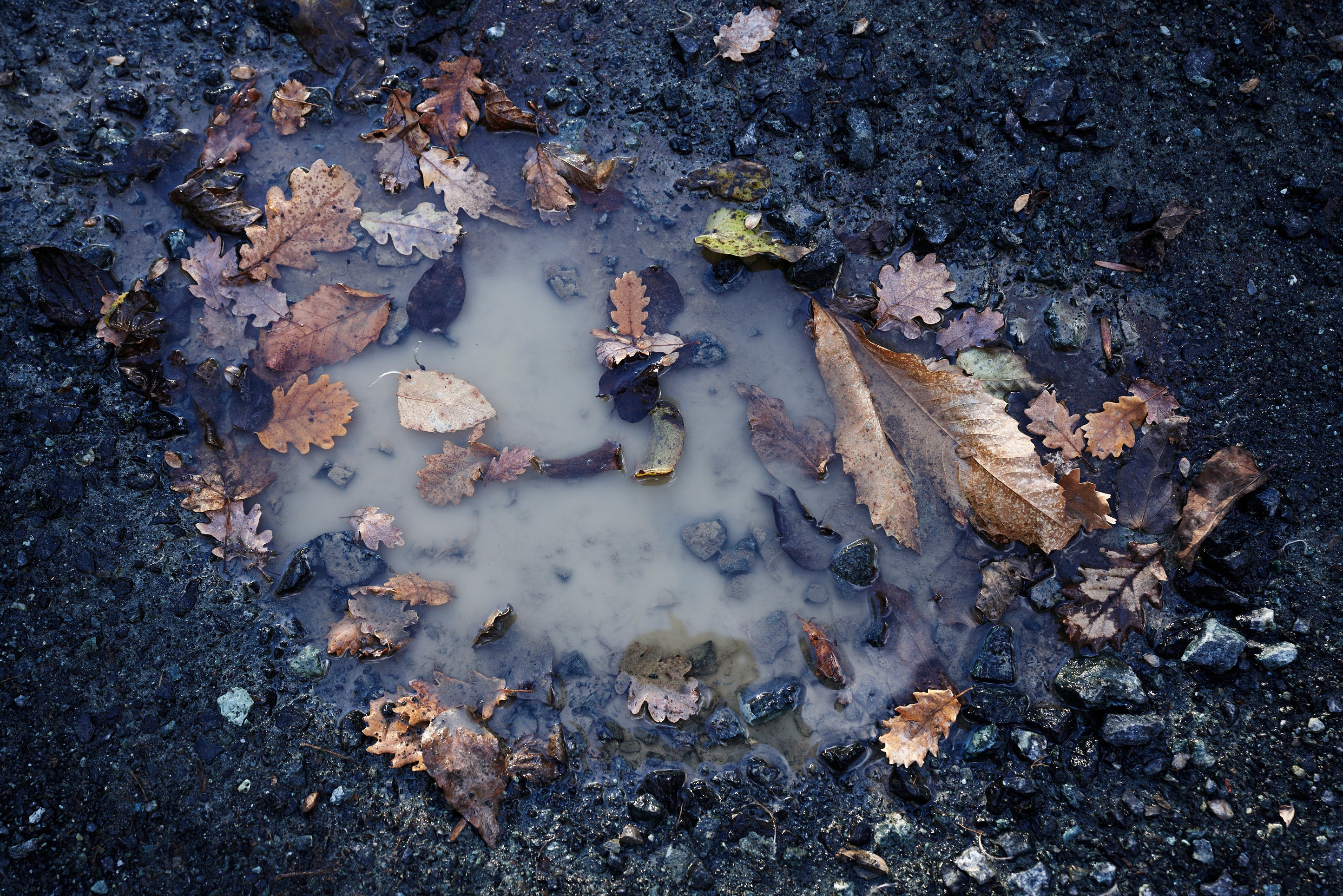 Puddles along my path V – Contemporary photographic fine art editions